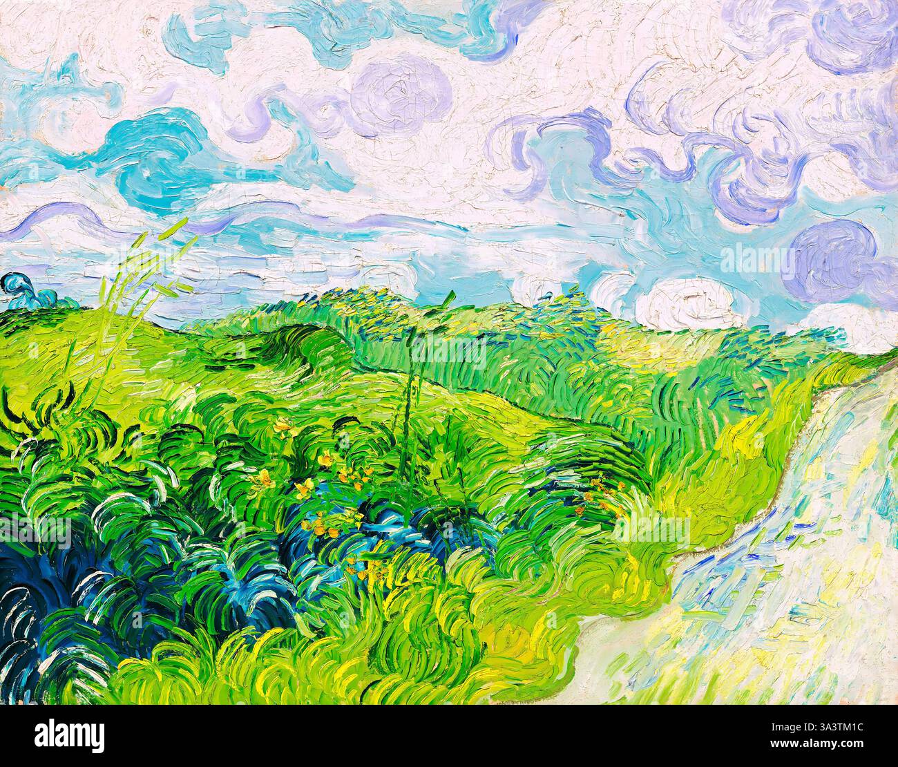 Vincent van Gogh Green Wheat Fields Auvers 1890 Post-Impressionist ...