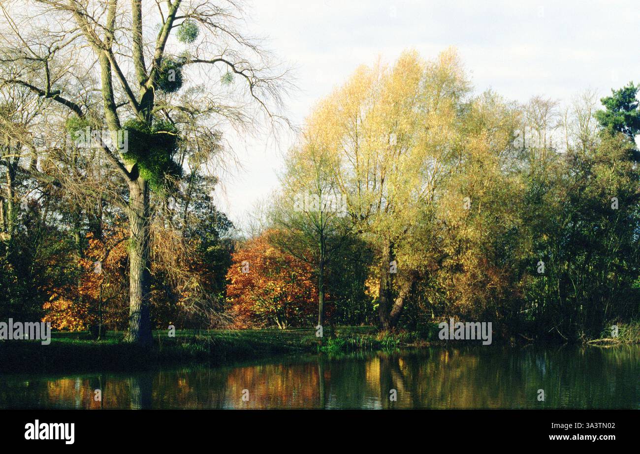 Trees disguise the Great Dam in Grimsthorpe Park Stock Photo - Alamy