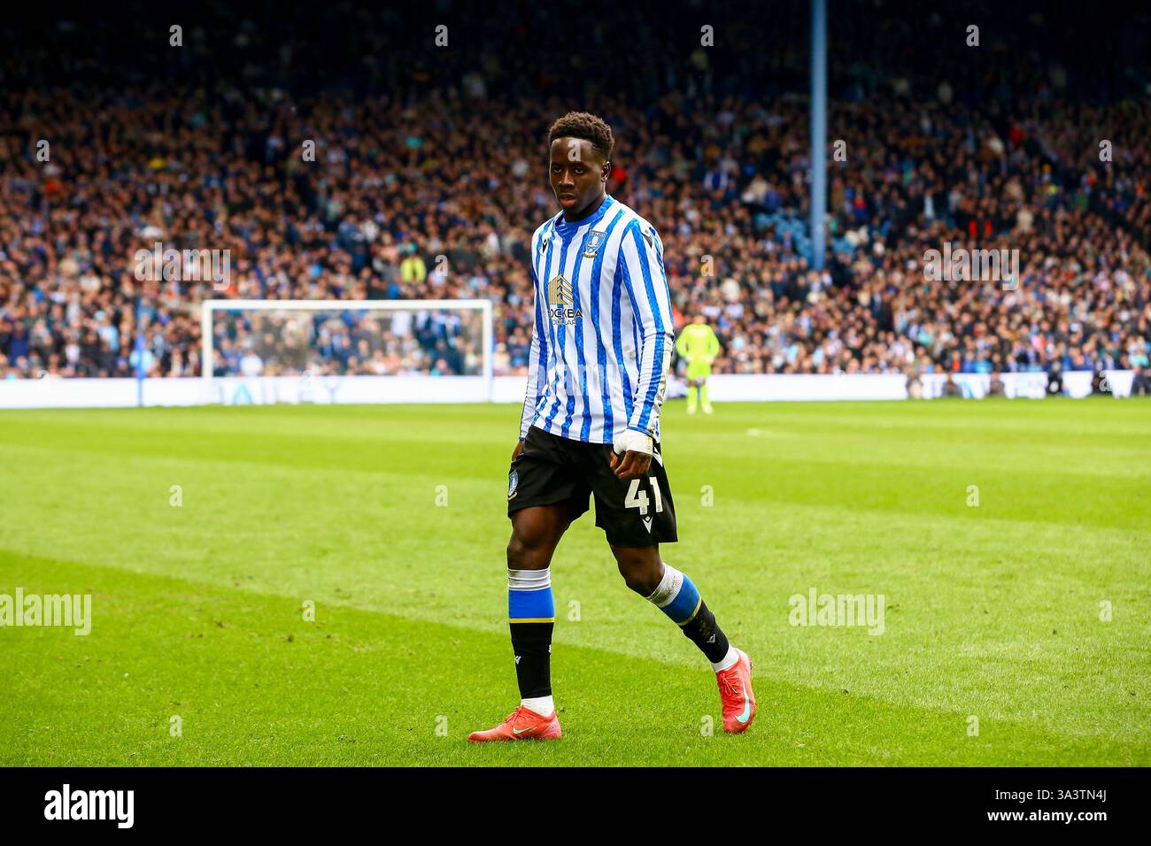 Hillsborough Stadium, Sheffield, England - 16th March 2025 Djeidi ...