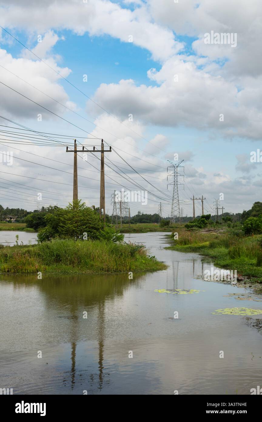 Powerlines leading through a tropical swamp in a rural landscape Stock ...