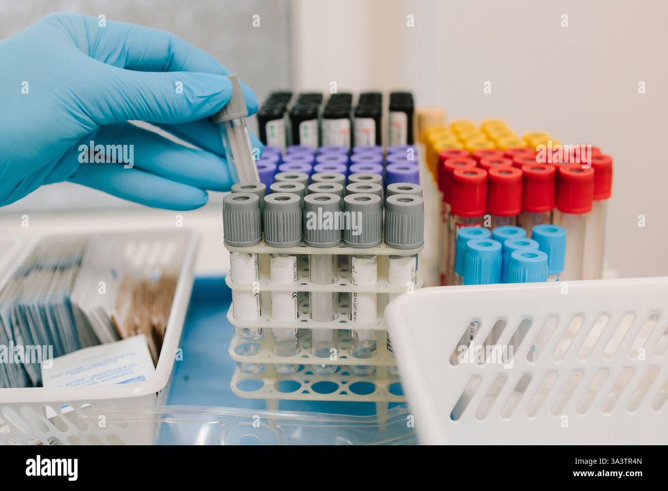 Gynecologist holds blood collection tubes for laboratory tests in the ...