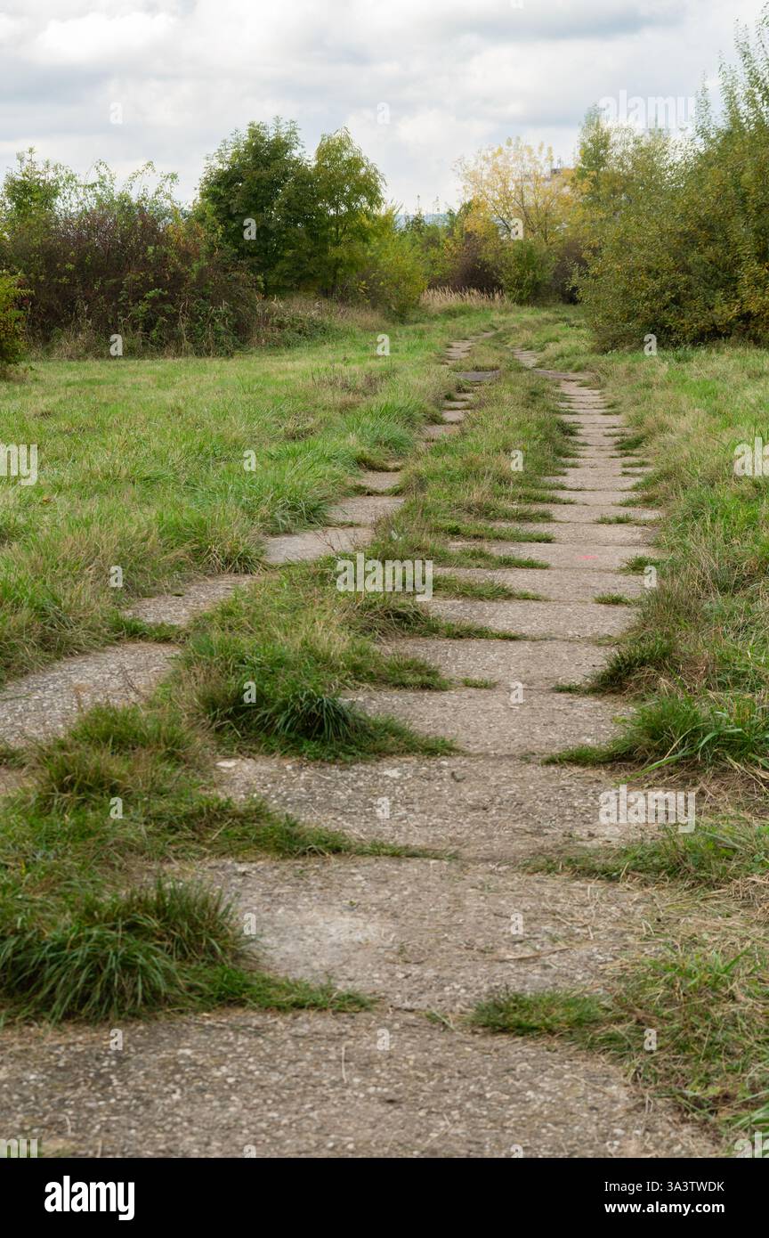 Abandoned concrete pedestrian path through urban park Stock Photo - Alamy