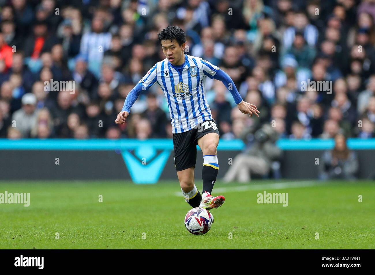 Sheffield, UK. 16th Mar, 2025. Sheffield Wednesday defender Ryo Hatsuse ...