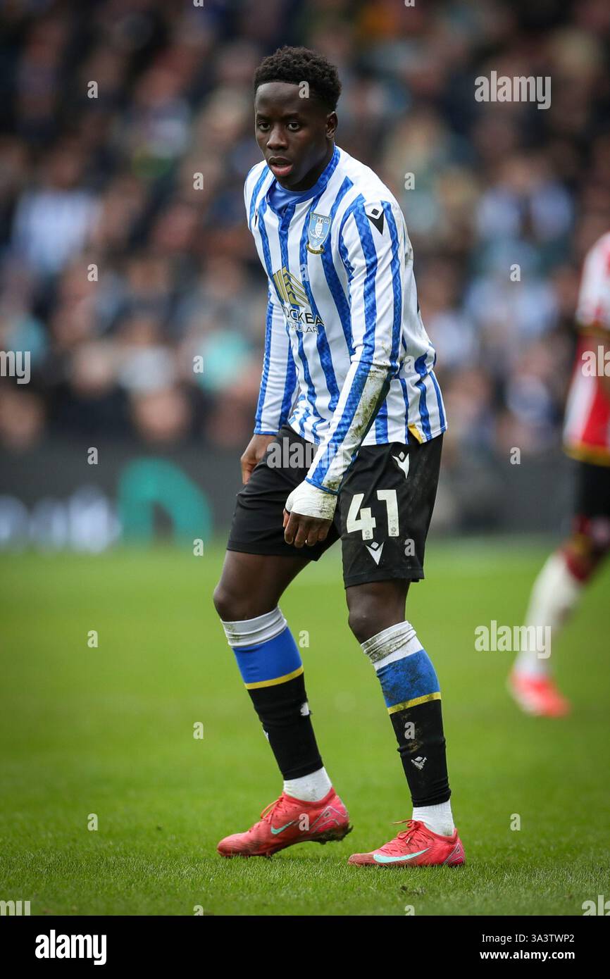 Sheffield, UK. 16th Mar, 2025. Sheffield Wednesday forward Djeidi ...