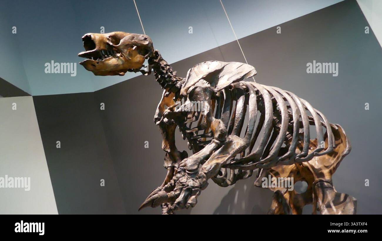 Los Angeles, California, USA 16th March 2025 Harlans Ground Sloth at La ...