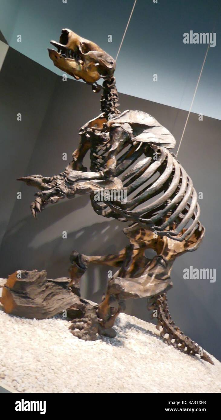 Los Angeles, California, USA 16th March 2025 Harlans Ground Sloth at La ...