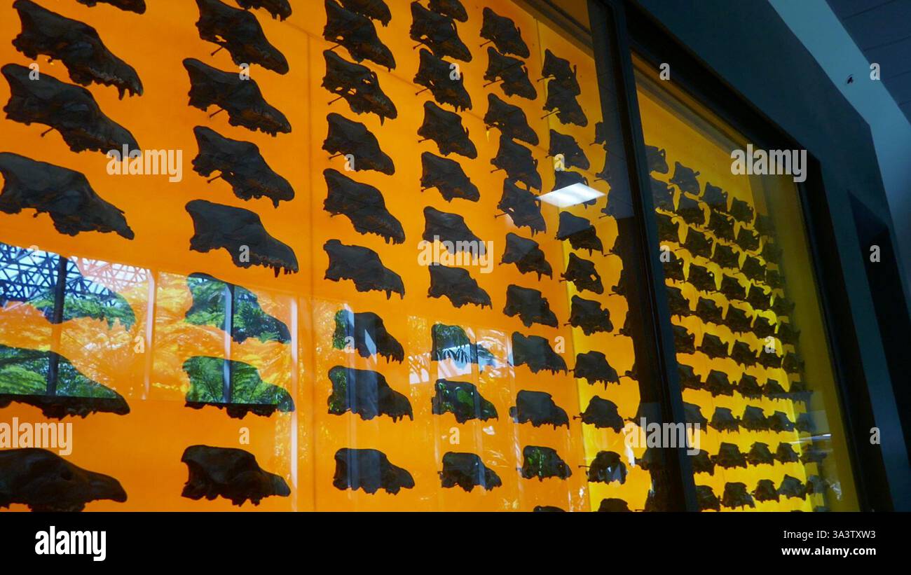 Los Angeles, California, USA 16th March 2025 Dire Wolf at La Brea Tar ...