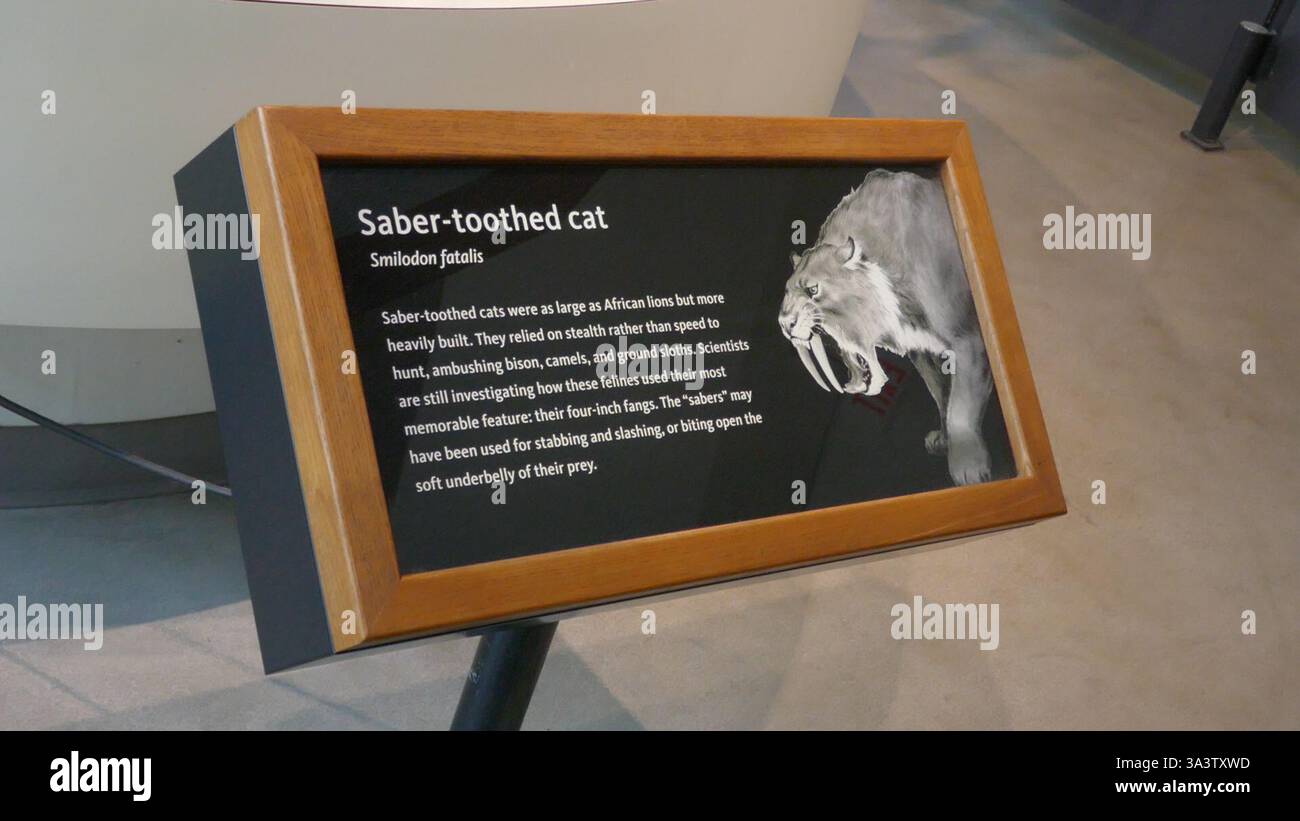 Los Angeles, California, USA 16th March 2025 Saber Toothed Cat at La ...