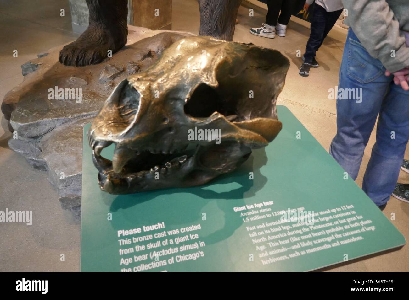 Los Angeles, California, USA 16th March 2025 Giant Ice Age Bear La Brea ...