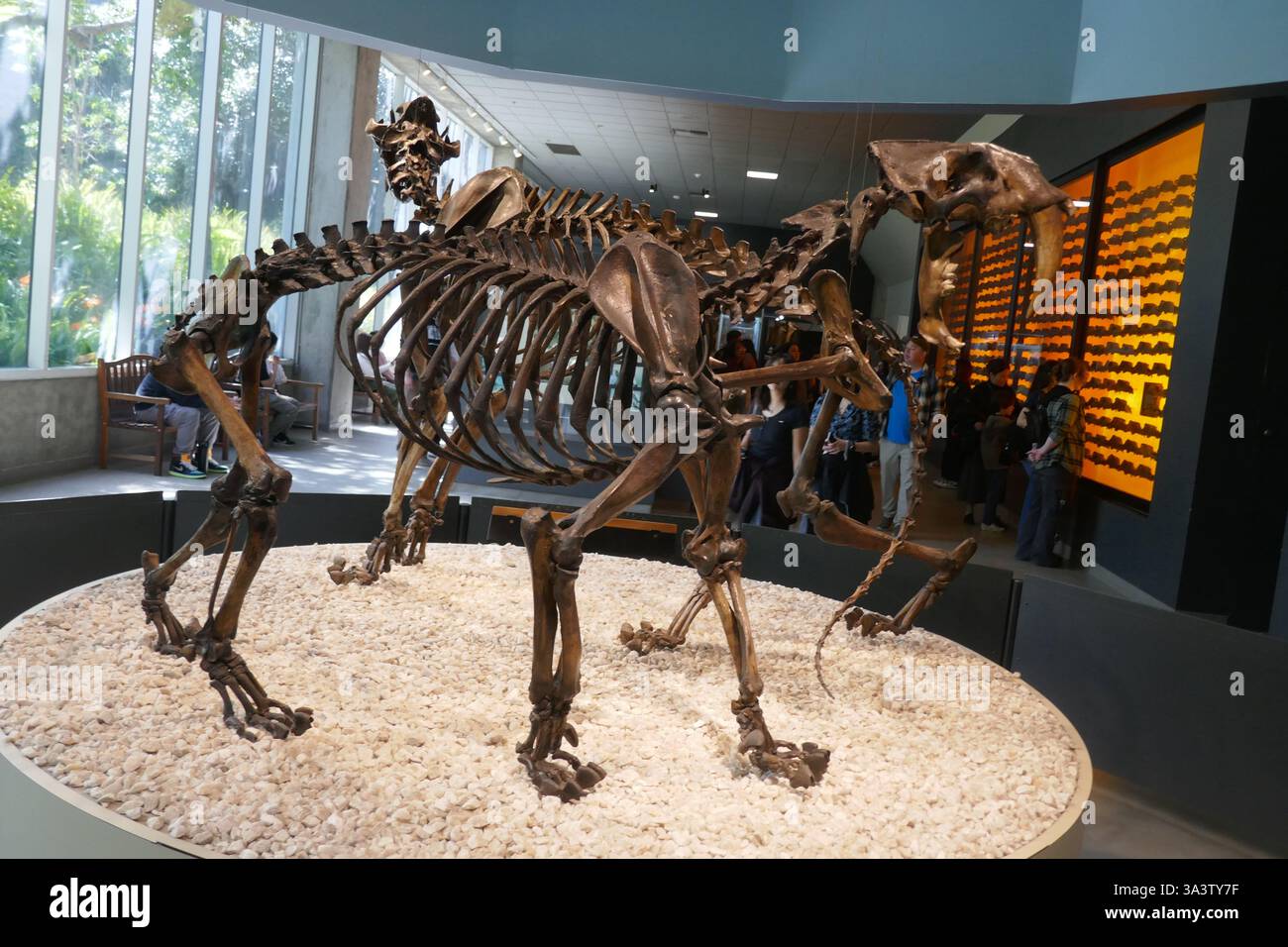 Los Angeles, California, USA 16th March 2025 Saber Toothed Cat at La ...