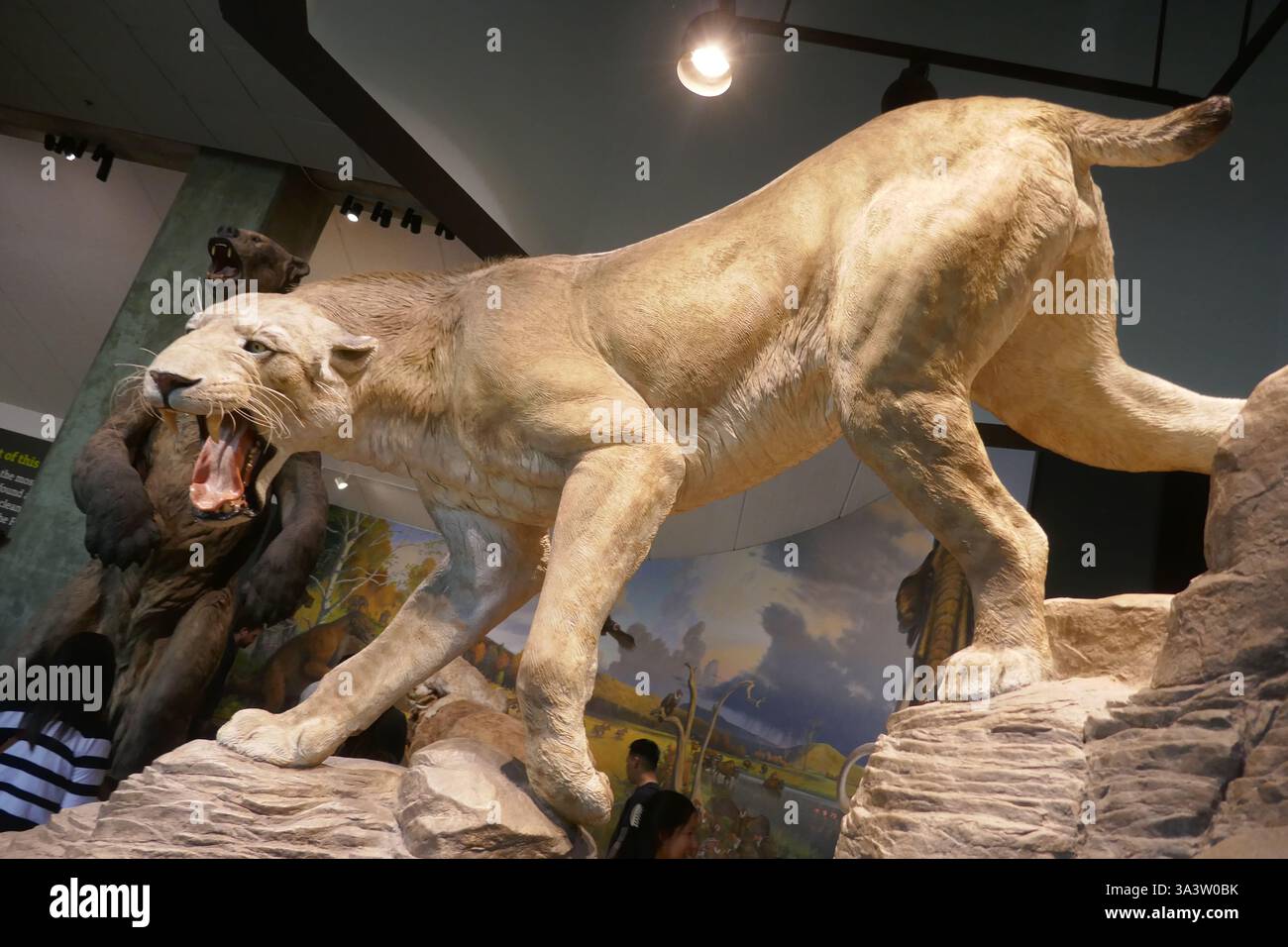 Los Angeles, California, USA 16th March 2025 American Scimitar Toothed ...