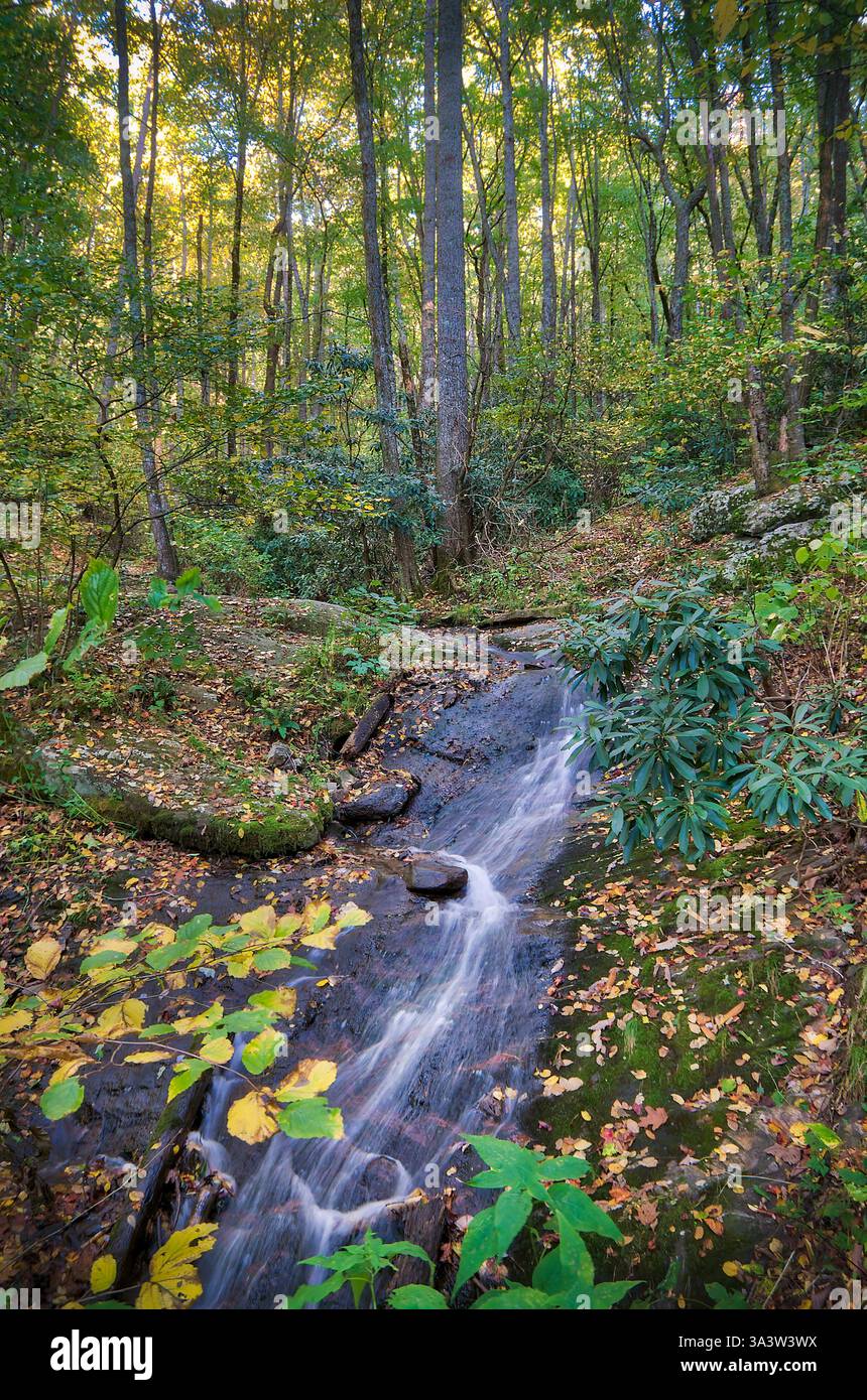 water appears to flow rapidly although it is merely a trickle down a ...
