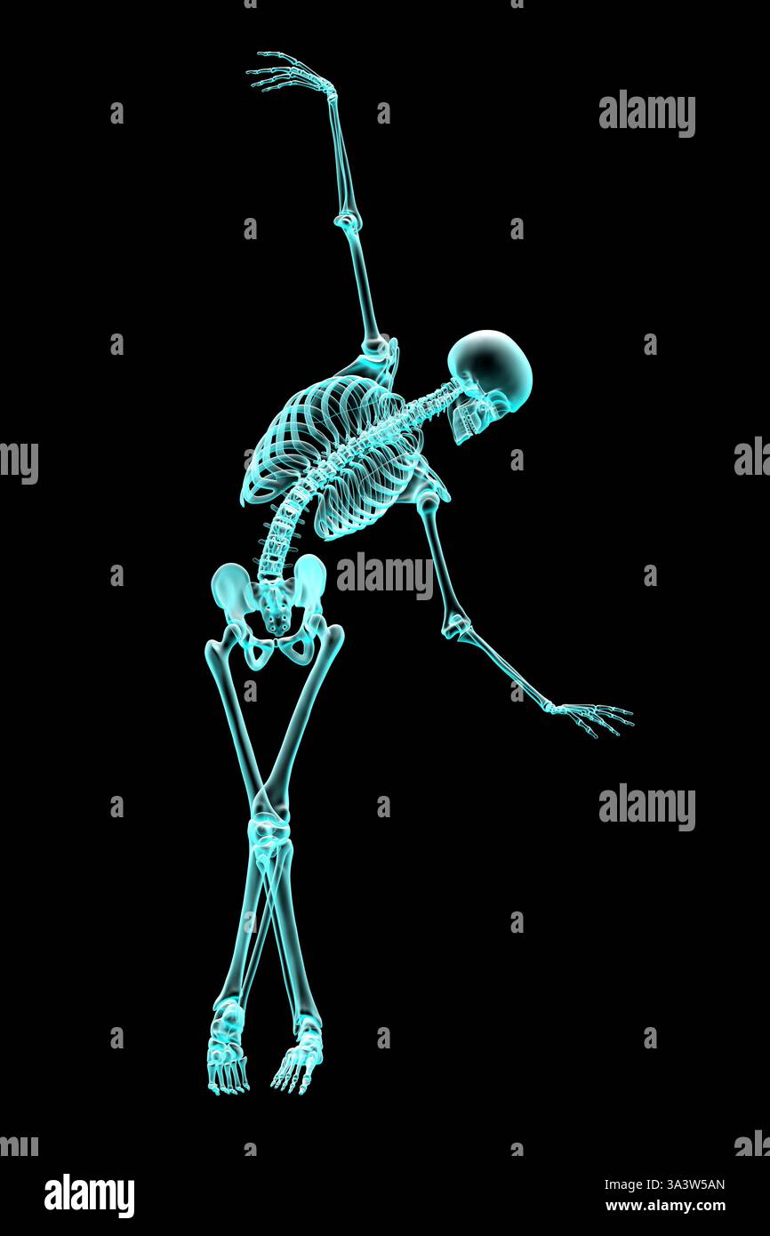 Illustration of a human skeleton in a ballet dancing pose Stock Photo ...