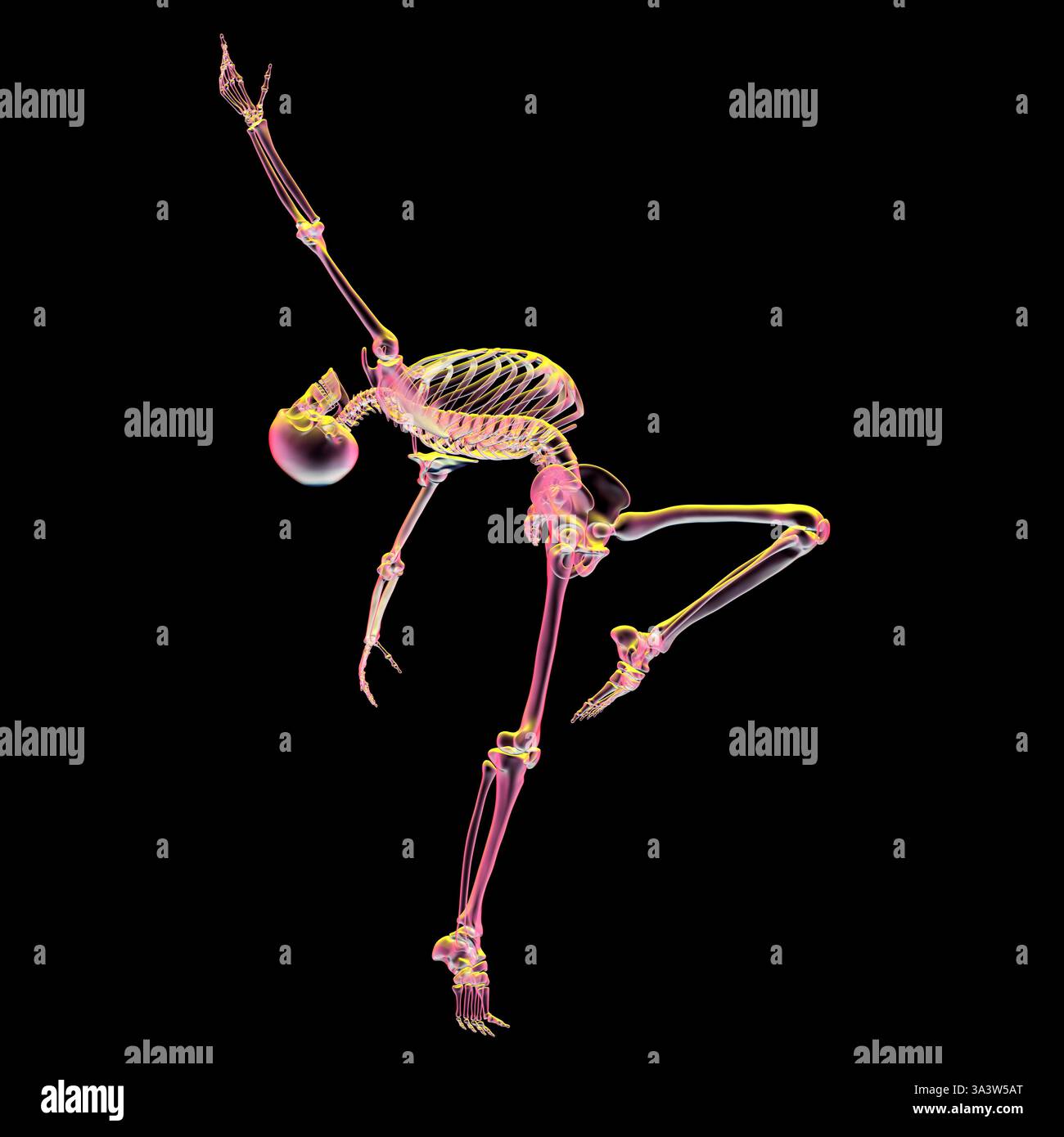 Illustration of a human skeleton in a ballet dancing pose Stock Photo ...