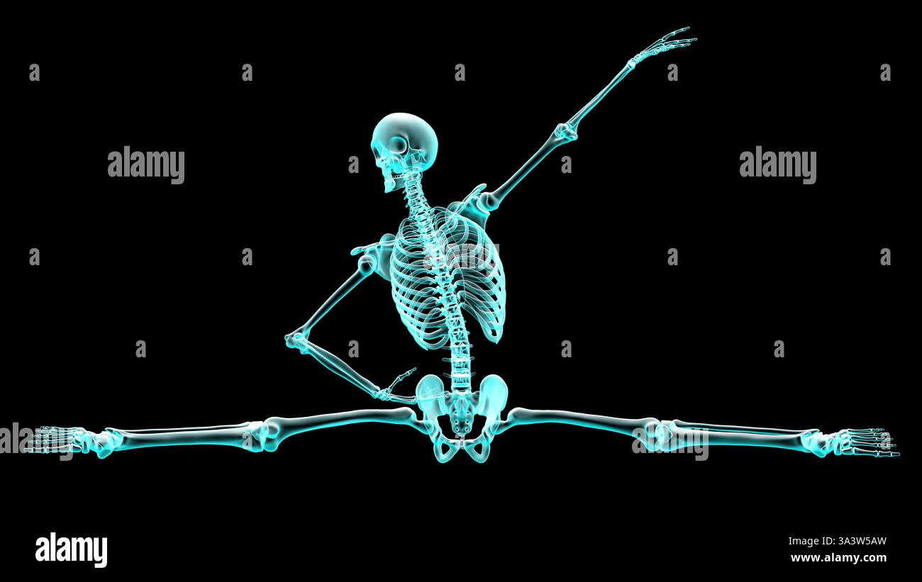 Illustration of a human skeleton in a ballet dancing pose Stock Photo ...