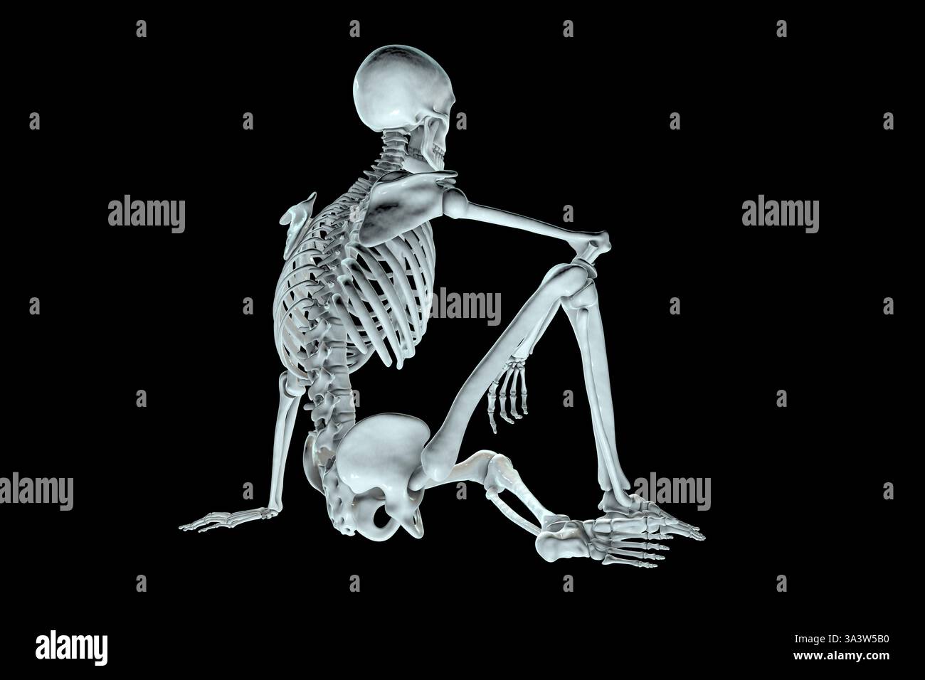 Illustration of a sitting human skeleton Stock Photo - Alamy