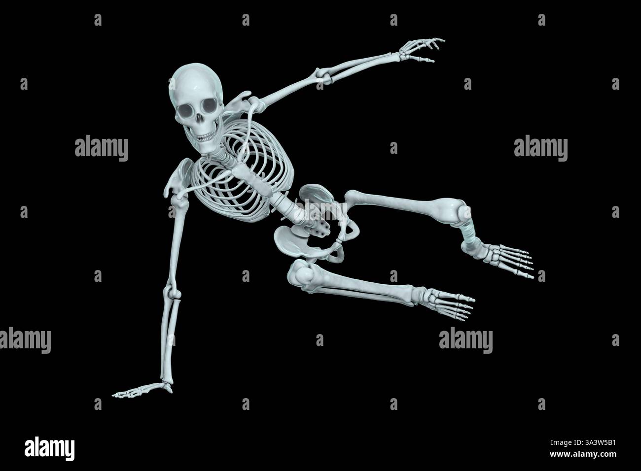 Illustration of a human skeleton in a dynamic jumping pose, showcasing ...