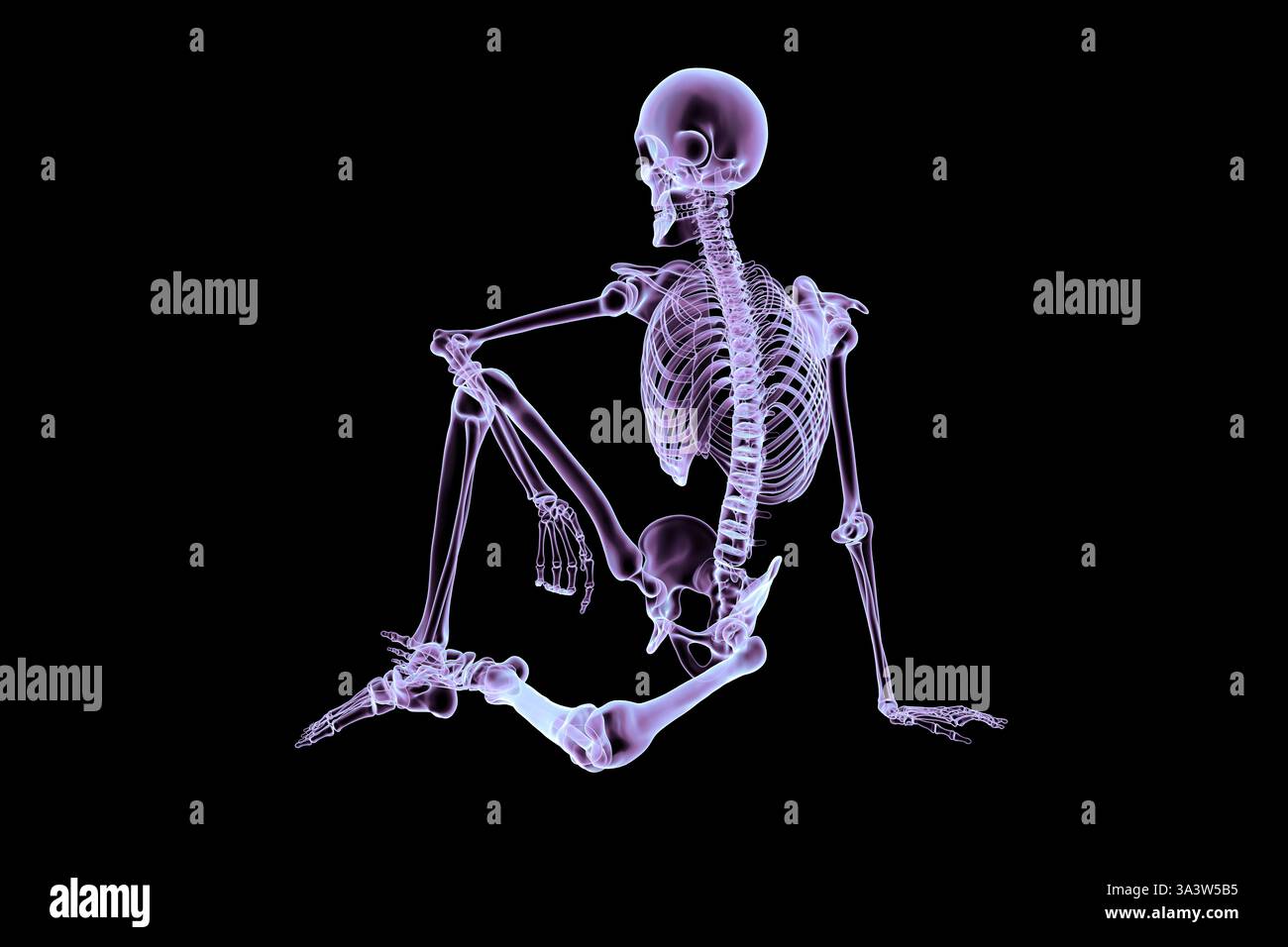 Illustration of a sitting human skeleton Stock Photo - Alamy