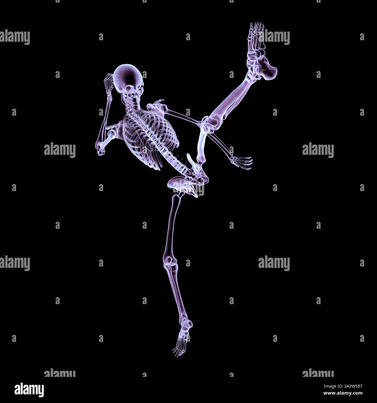 Illustration of a human skeleton in a dynamic fighting pose, showcasing ...