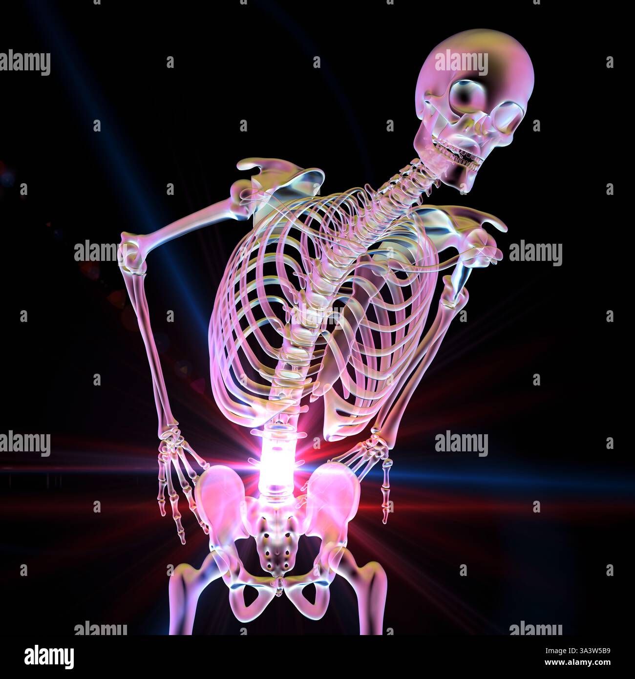 Illustration of a human skeleton with lower back pain, depicting spinal ...