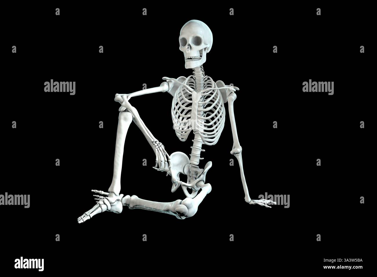 Illustration of a sitting human skeleton Stock Photo - Alamy