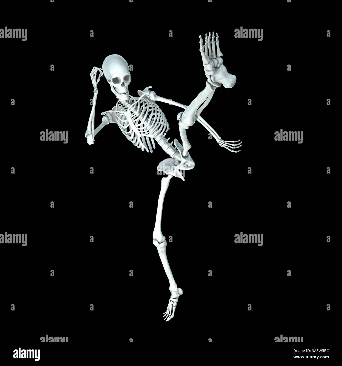 Illustration of a human skeleton in a dynamic fighting pose, showcasing ...