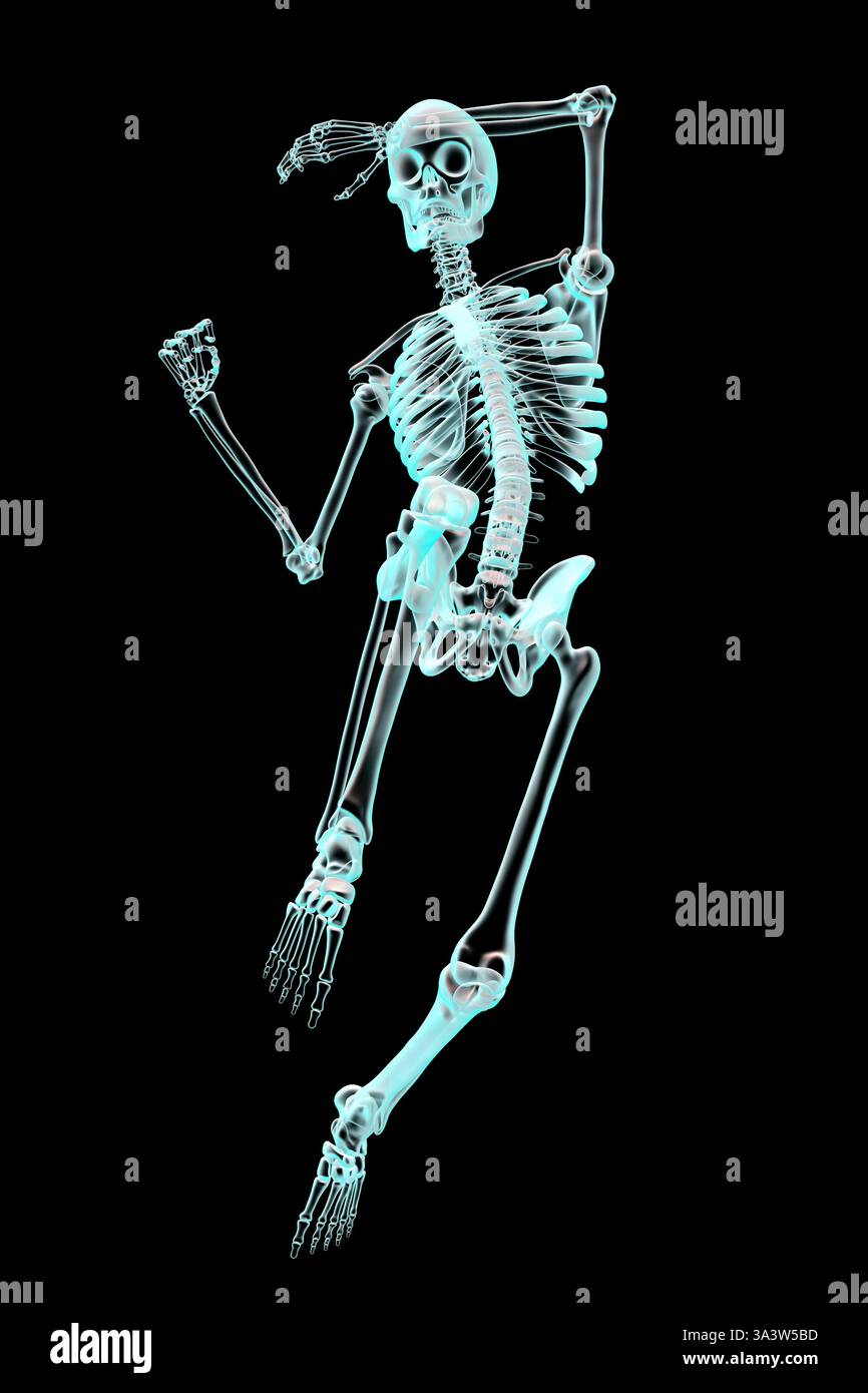 Illustration of a human skeleton in a dynamic jumping pose, showcasing ...