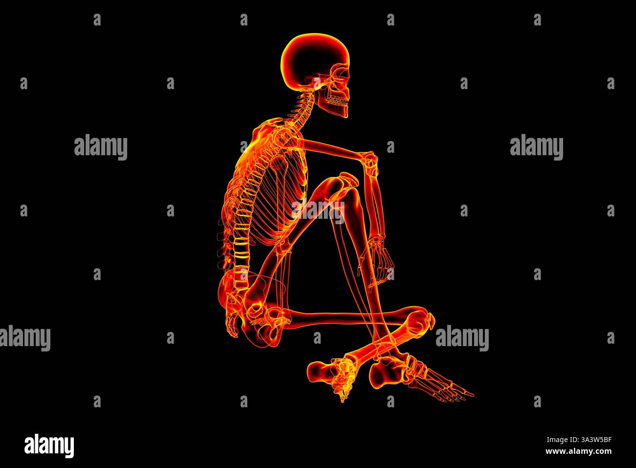 Illustration of a sitting human skeleton Stock Photo - Alamy