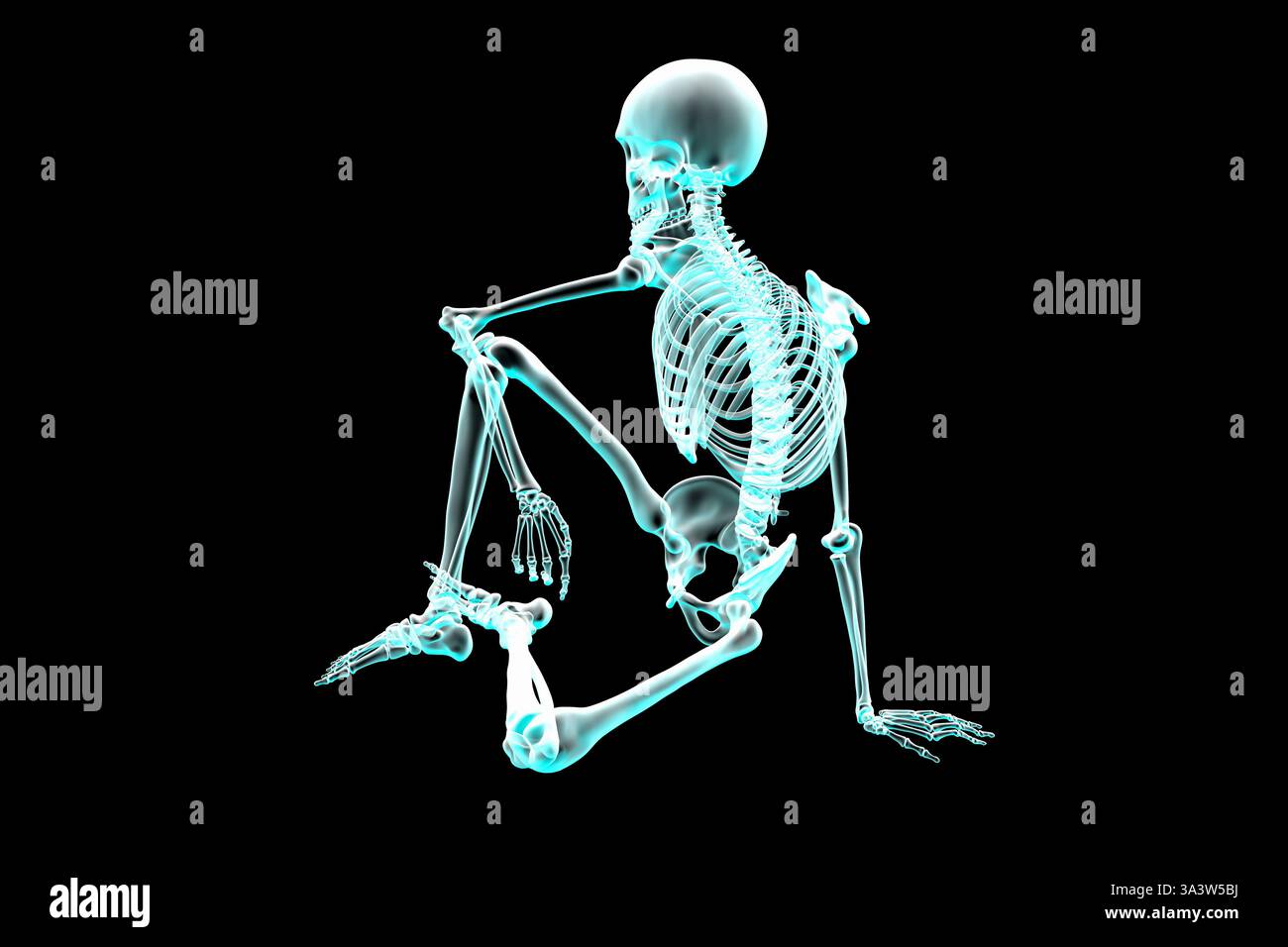 Illustration of a sitting human skeleton Stock Photo - Alamy