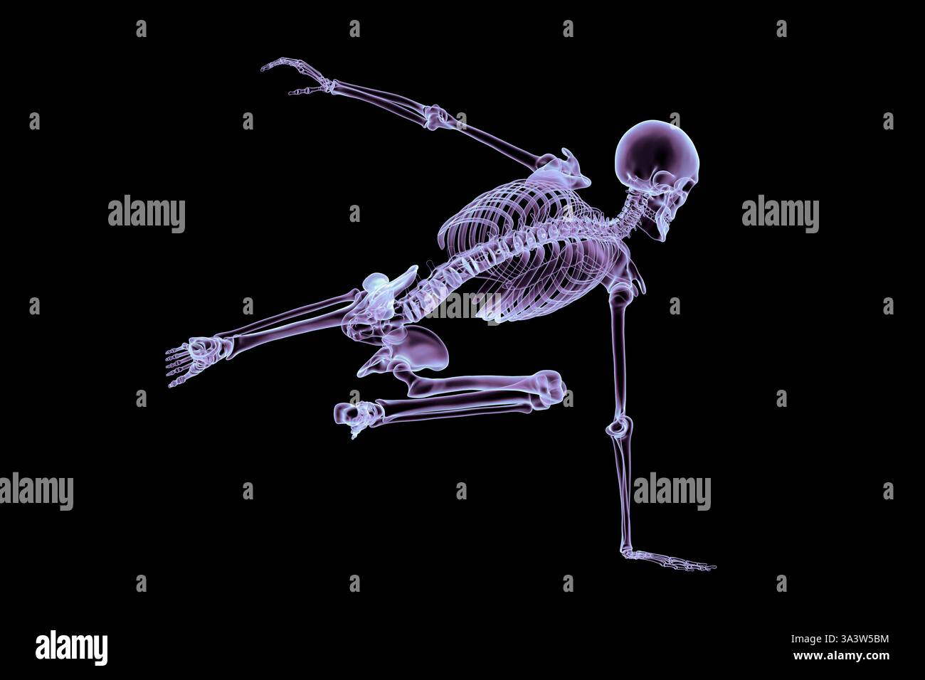 Illustration of a human skeleton in a dynamic jumping pose, showcasing ...