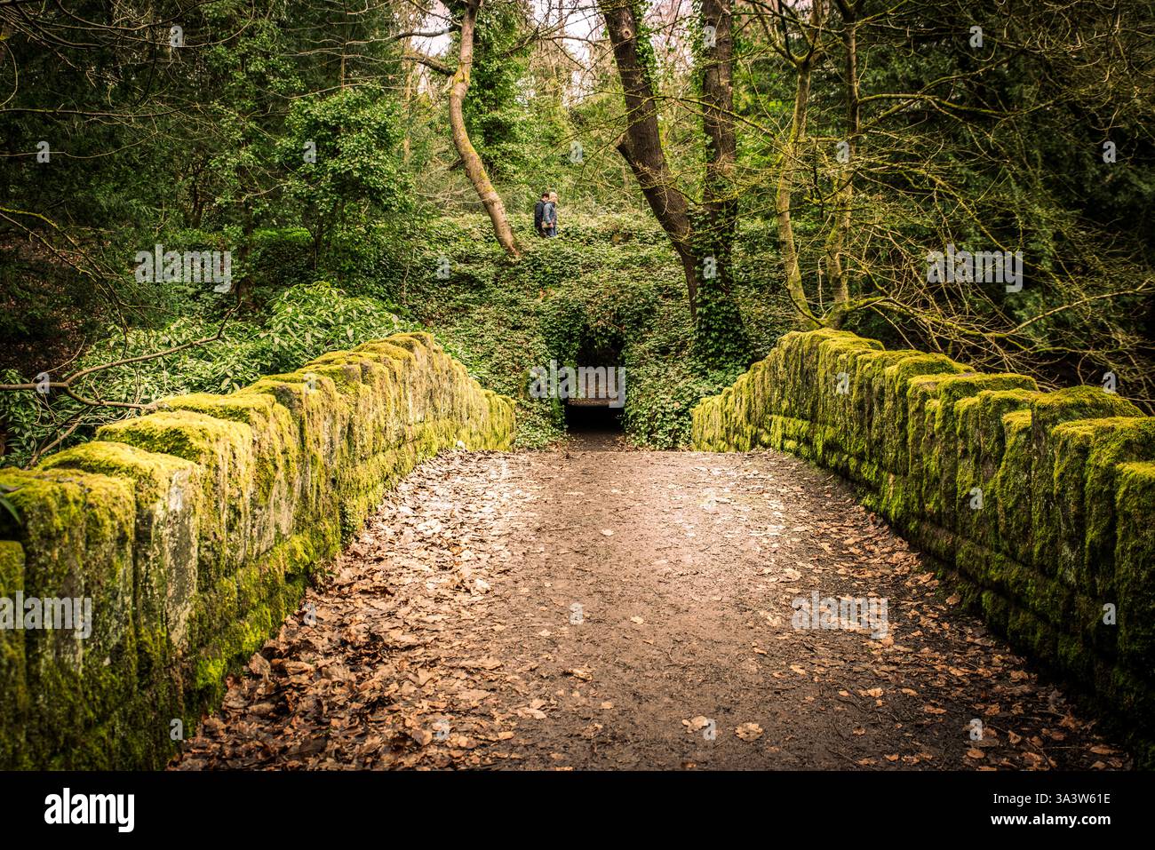 Moss covered bridge hi-res stock photography and images - Alamy