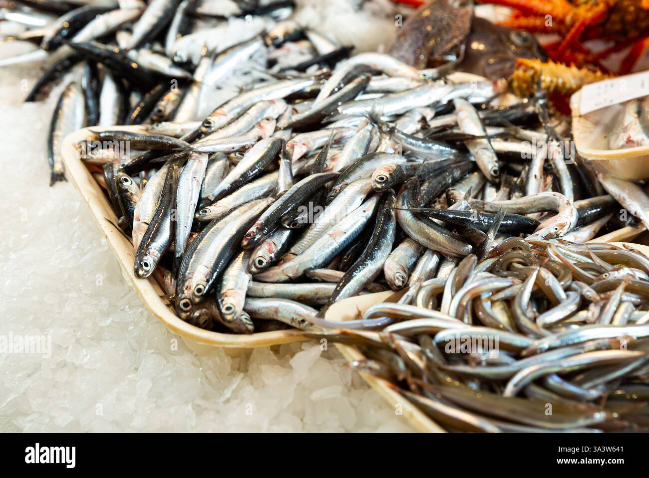Pile of fresh anchovies fishes laying on the ice on the market Stock ...