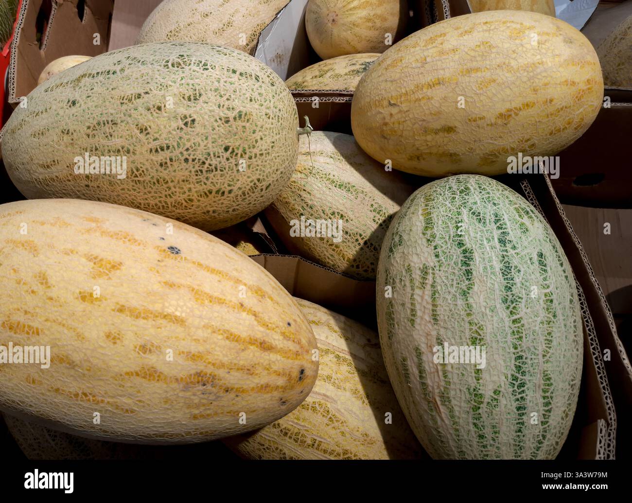 Melon seller melons market hi-res stock photography and images - Alamy