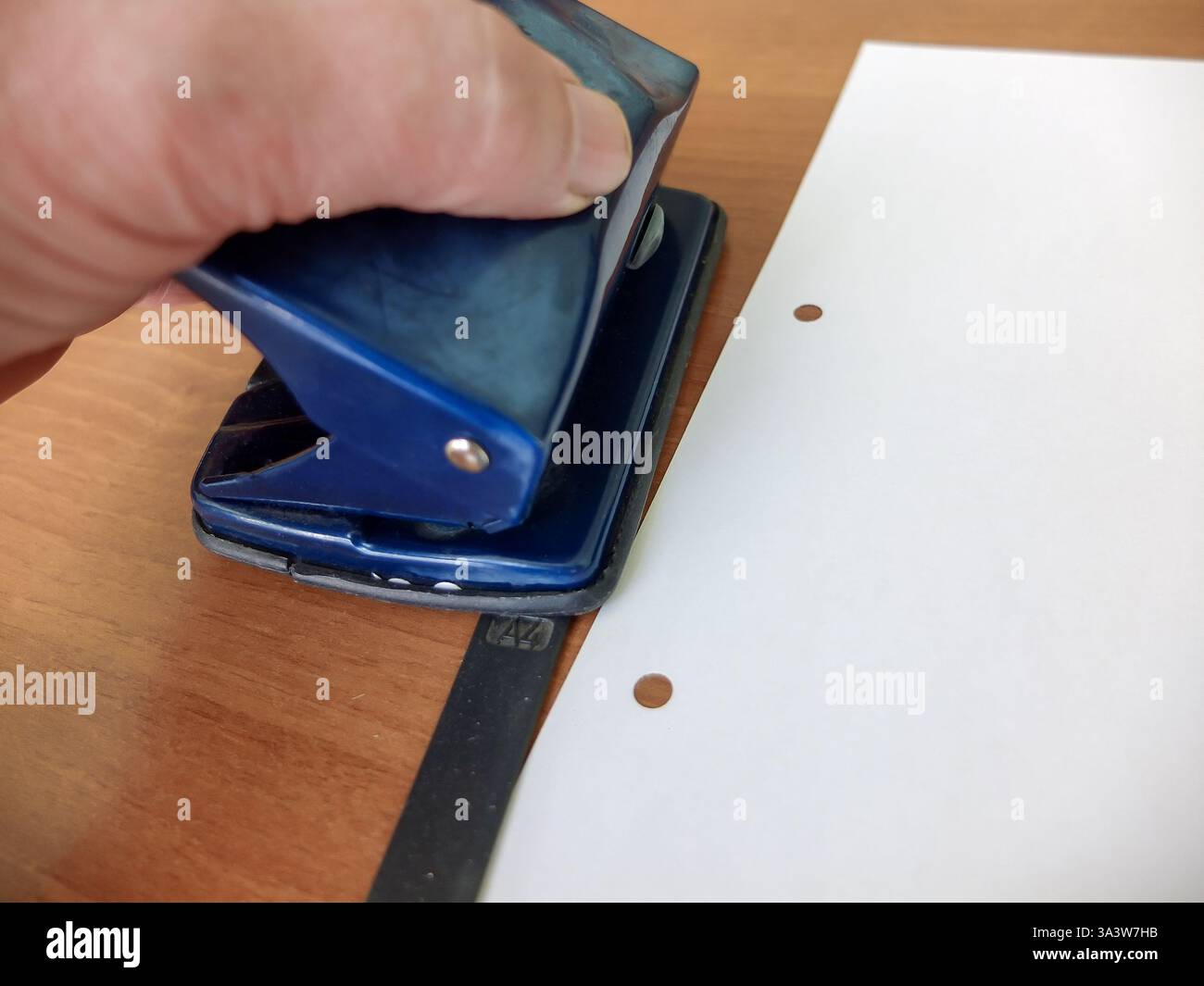 Double hole punch for paper. Hole punch. Office. A hole punch for ...