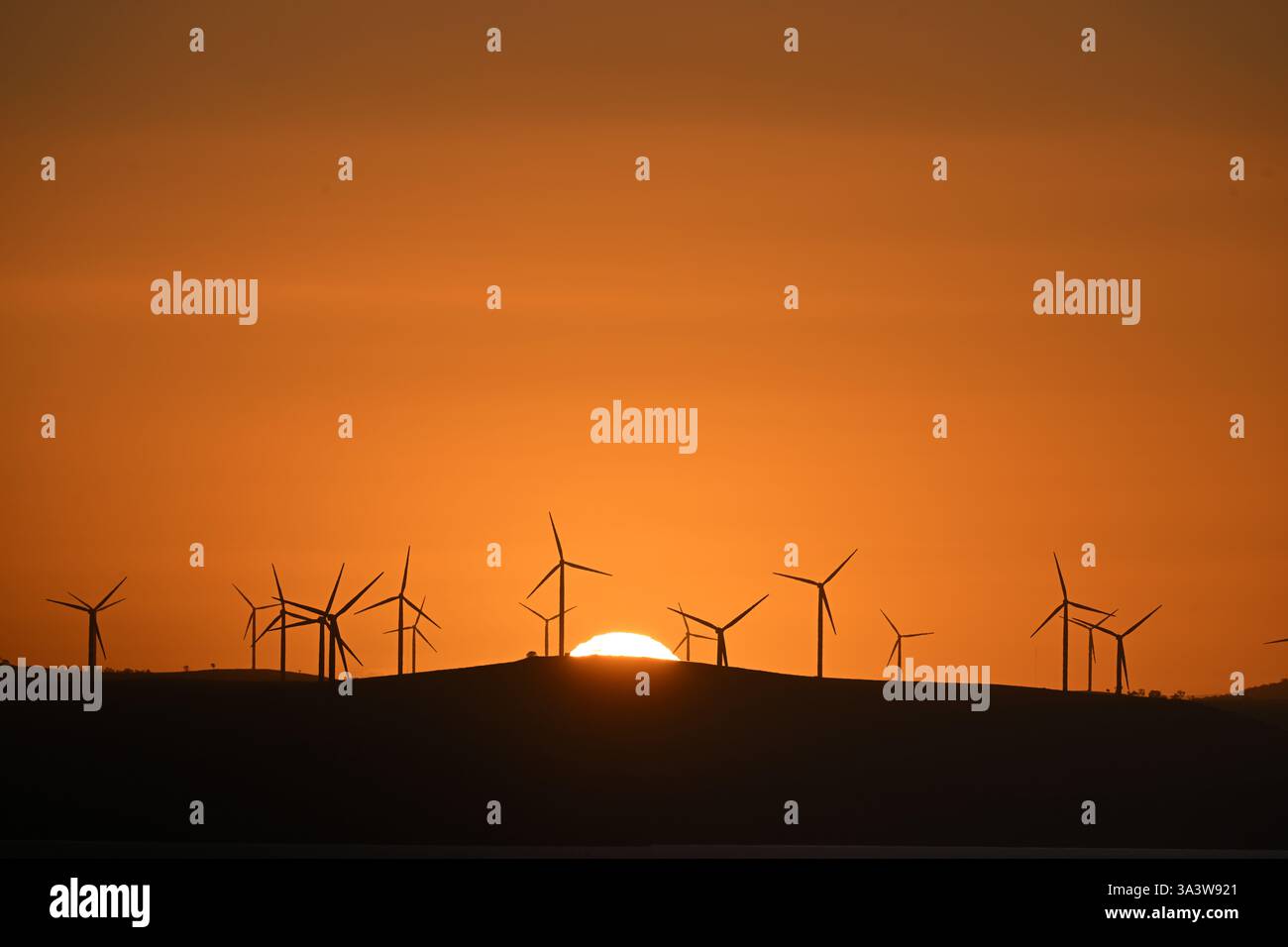 The sun rises over power-generating wind turbines at the Capital Wind ...