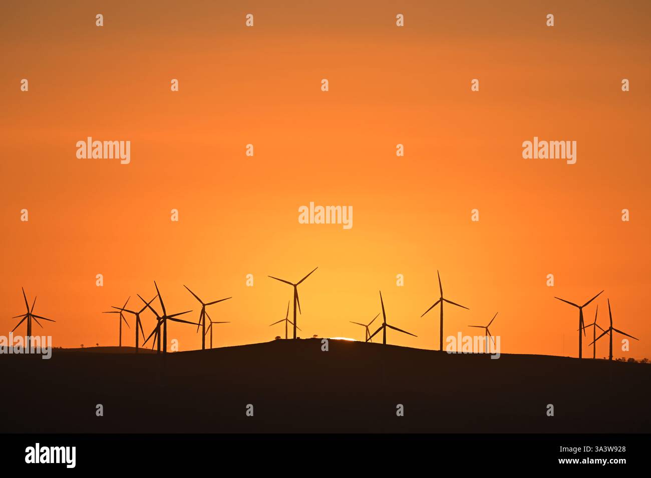 Canberra, Australia. 18th Mar, 2025. The sun rises over power ...