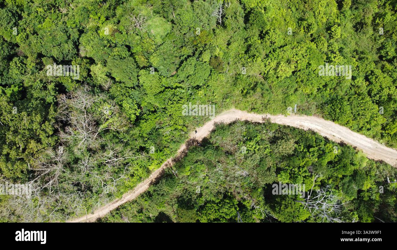 A top-down aerial view of a winding dirt road cutting through a dense green forest. The contrast ...