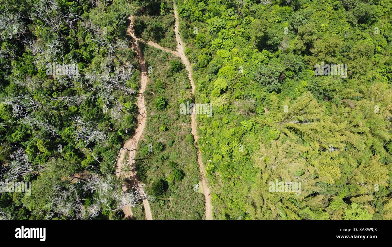 Winding dirt road cutting through hi-res stock photography and images ...