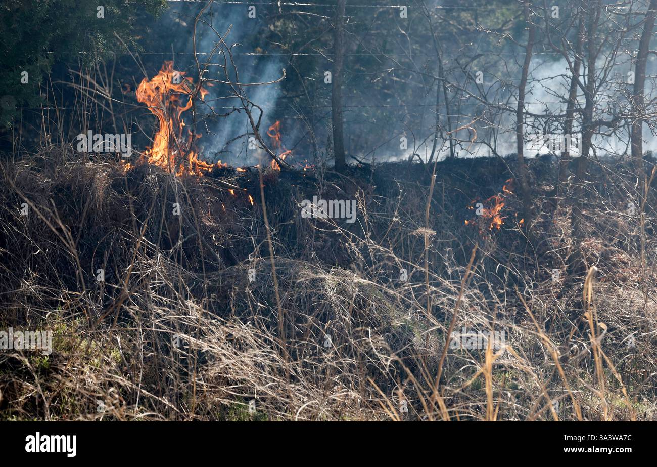 New fires burn several miles west of Stillwater, Okla., Monday, March ...