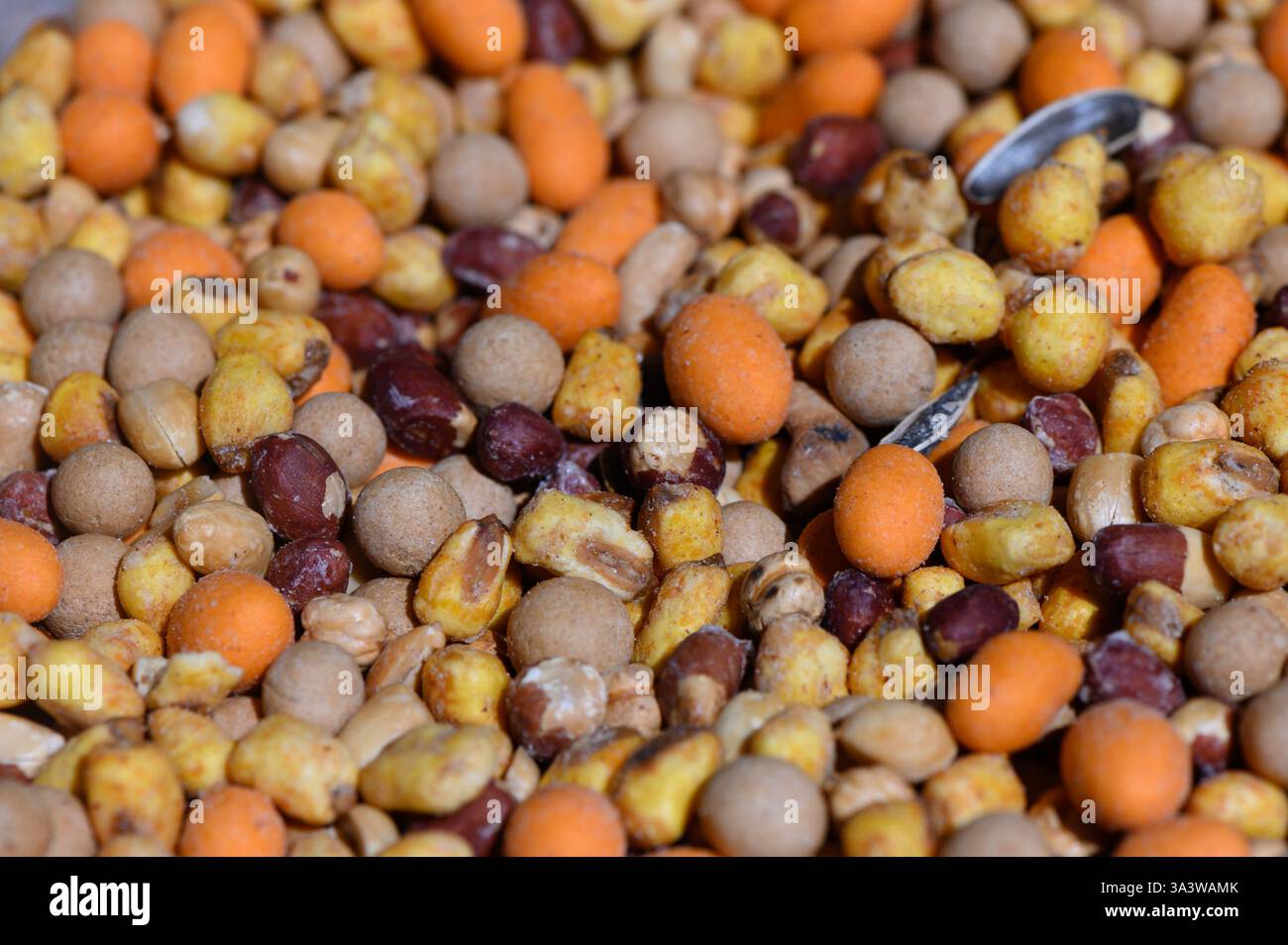 A lively assortment of seeds and grains fills the frame, showcasing ...