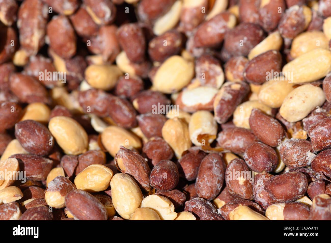 Various types of peanuts nestled together, showcasing their unique ...