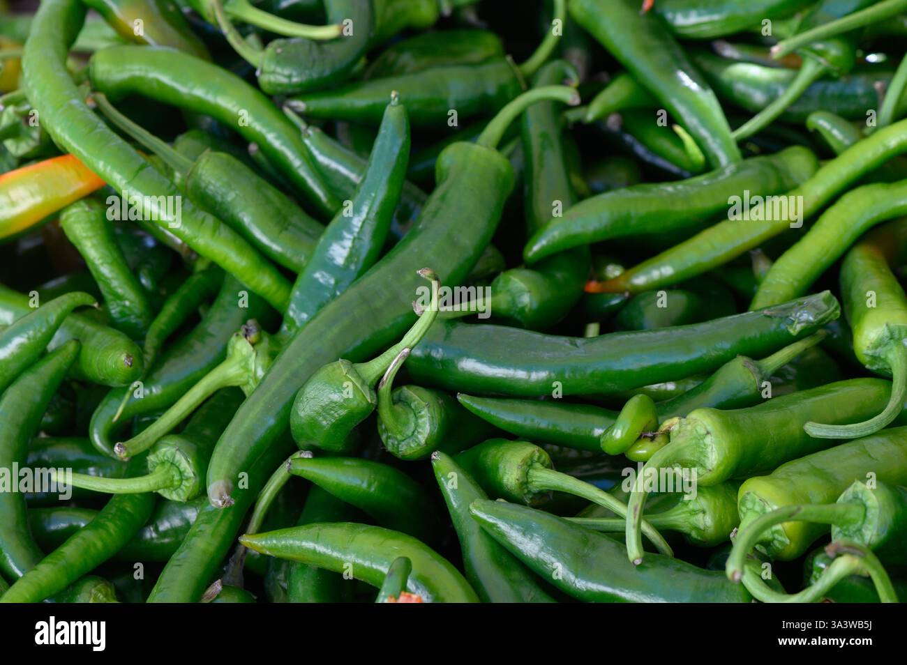 Fresh and spicy green chilies fill the market stall, igniting the ...