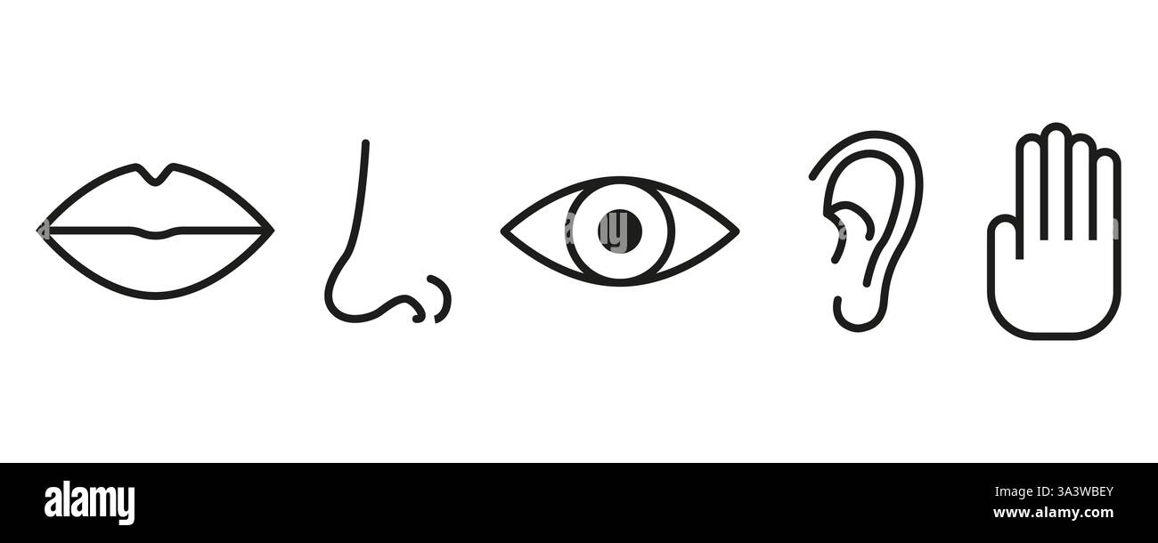 Human senses icons. Eye ear hand. Lips and nose. Sensory perception ...
