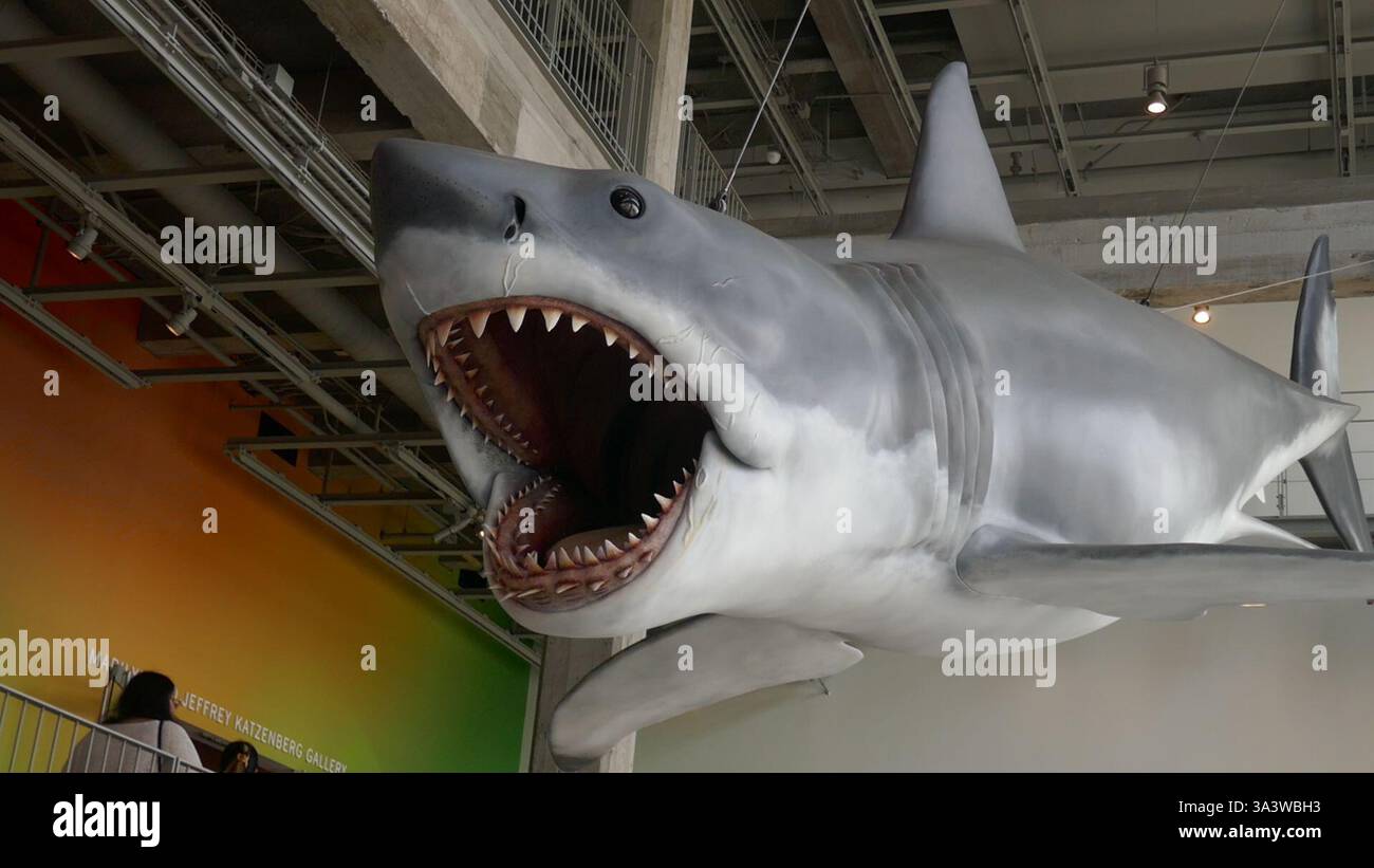 Los Angeles, California, USA 16th March 2025 Jaws Shark at Academy ...