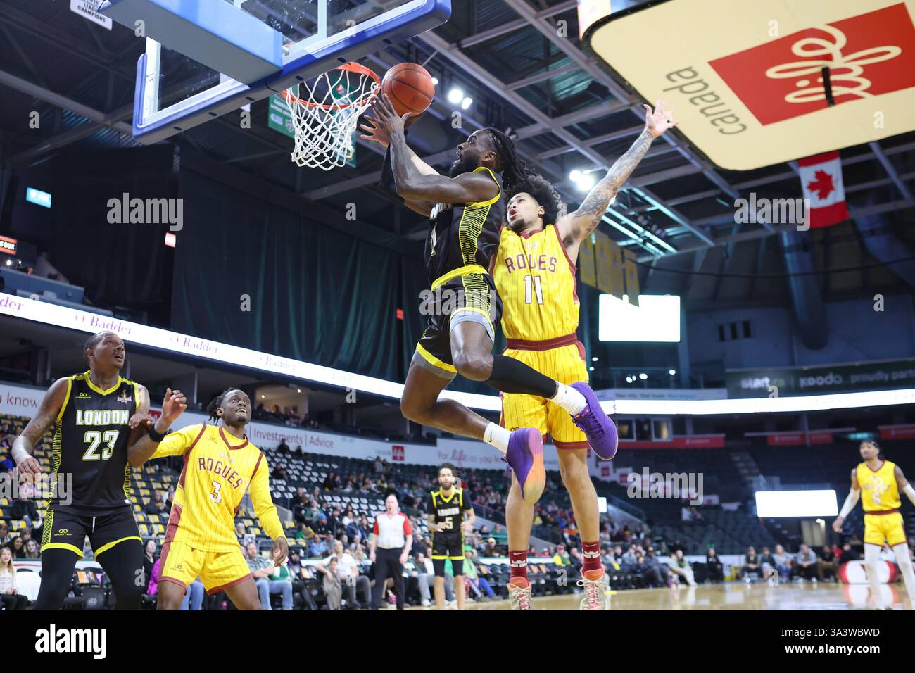 London, Canada. 17th Mar, 2025. The London Lightning lead the ...