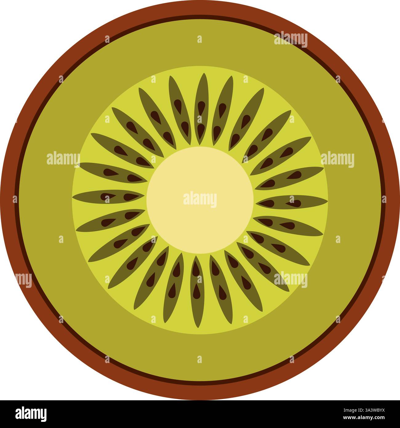 Kiwi slice botanical vector illustration in flat technique Stock Vector Image & Art - Alamy