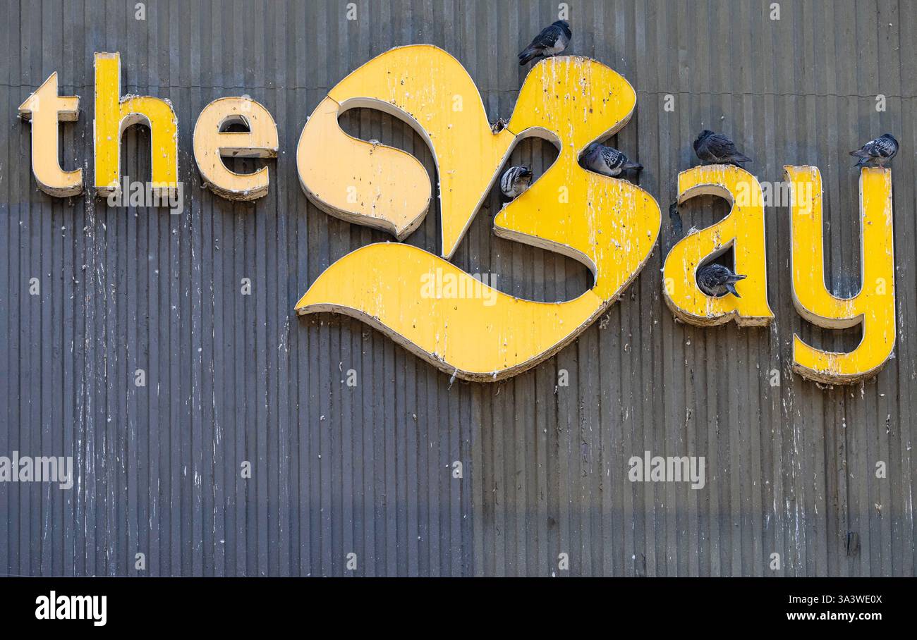 Montreal, Canada. 17th Mar, 2025. Pigeons roost on the Hudson's Bay ...