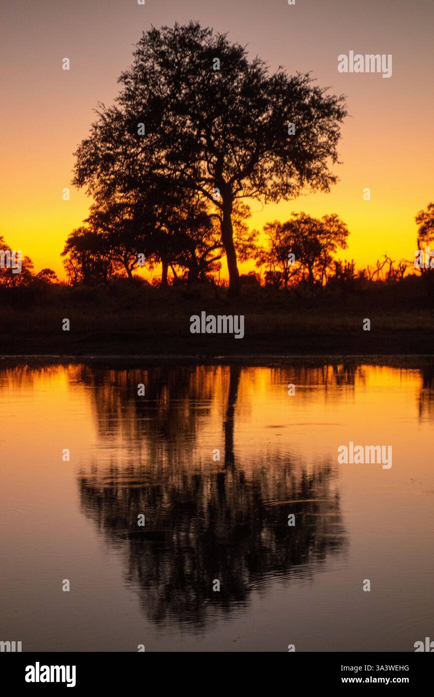 African landscape with reflection hi-res stock photography and images - Alamy
