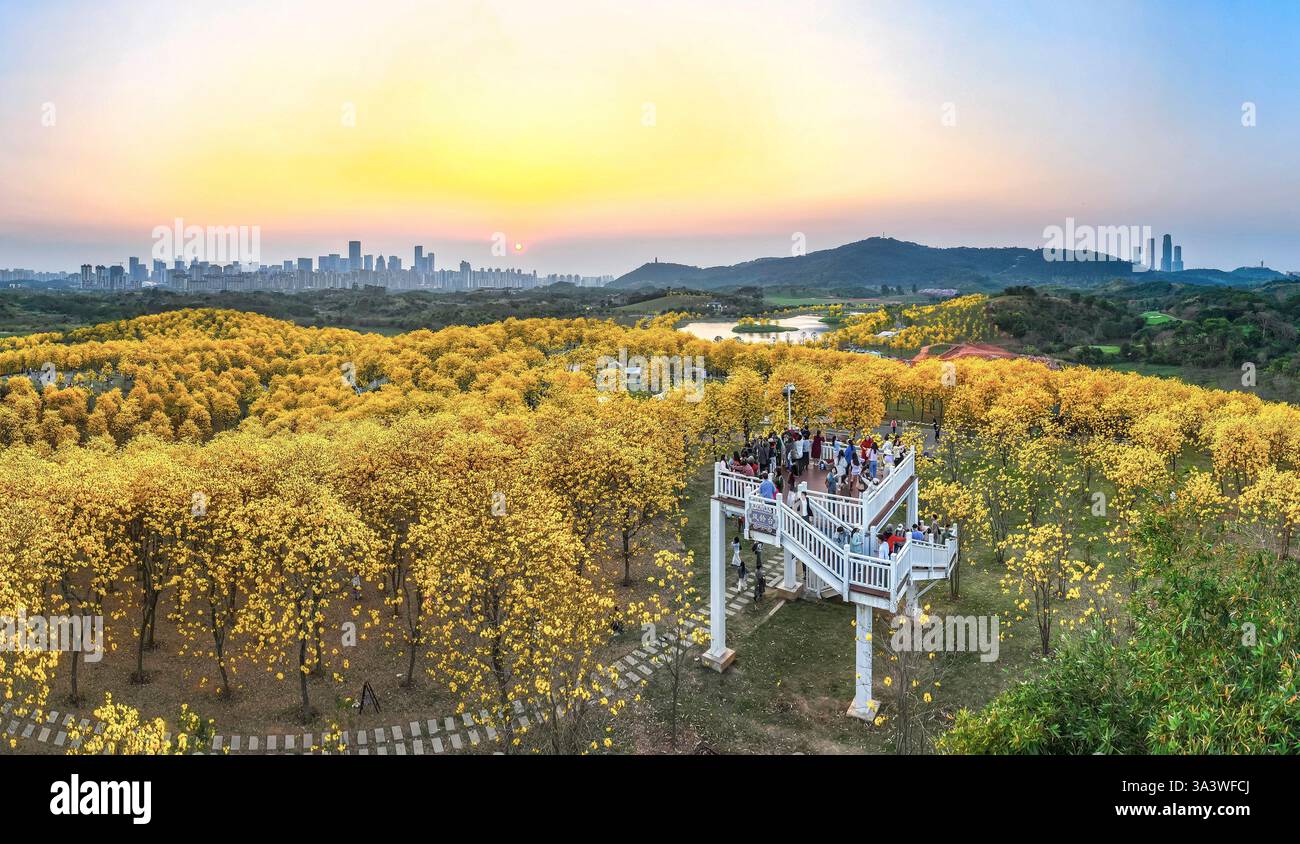 (250318) -- BEIJING, March 18, 2025 (Xinhua) -- This aerial panorama ...