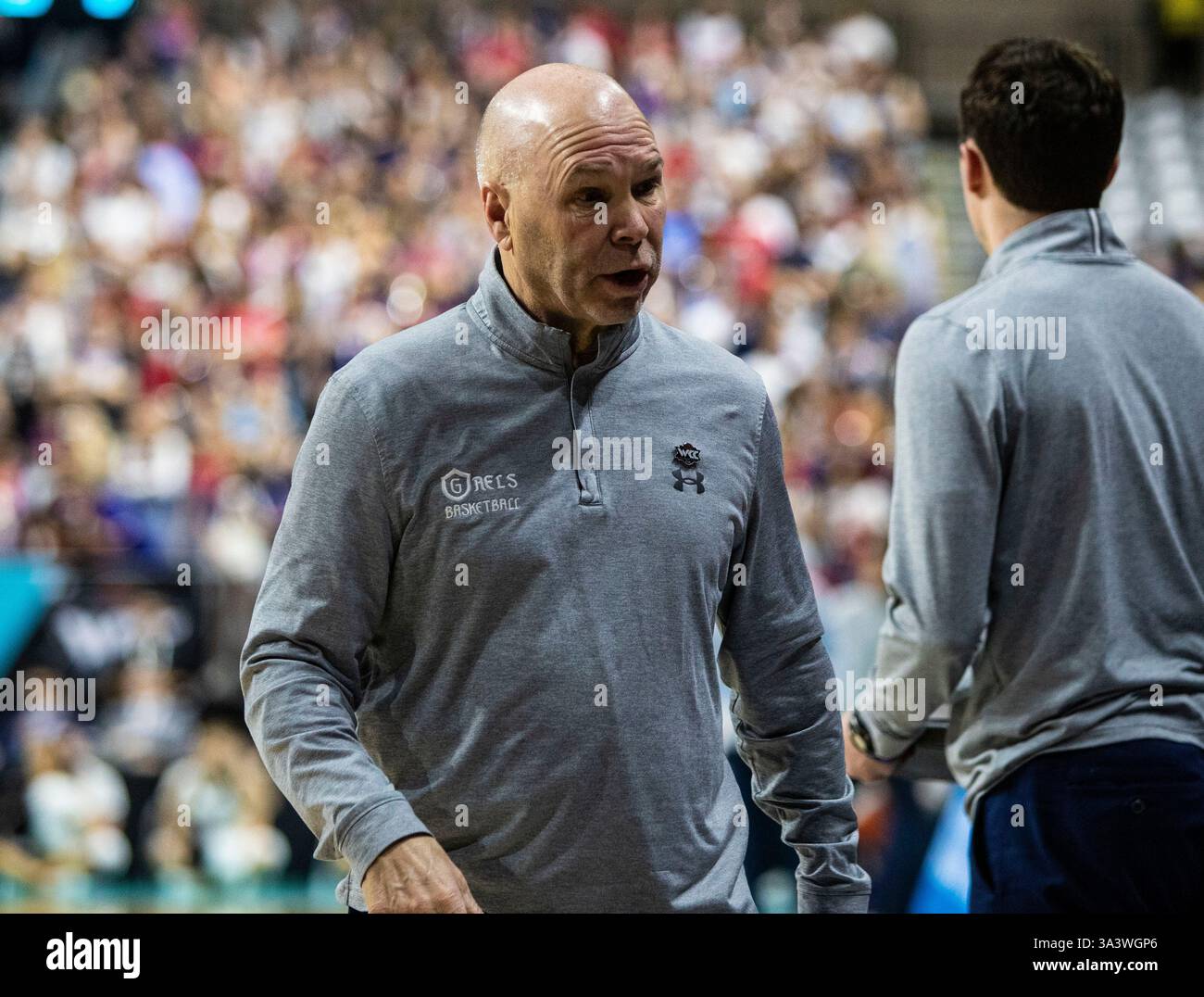 March 11 2025 Las Vegas, NV, U.S.A. Saint Marys head coach Randy ...